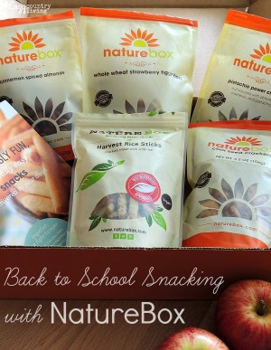 Back to School Snacking with NatureBox - Cozy Country Living
