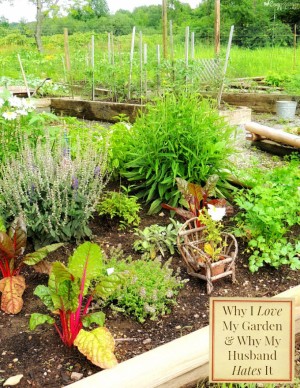 Why I Love My Garden & Why My Husband Hates It - Cozy Country Living