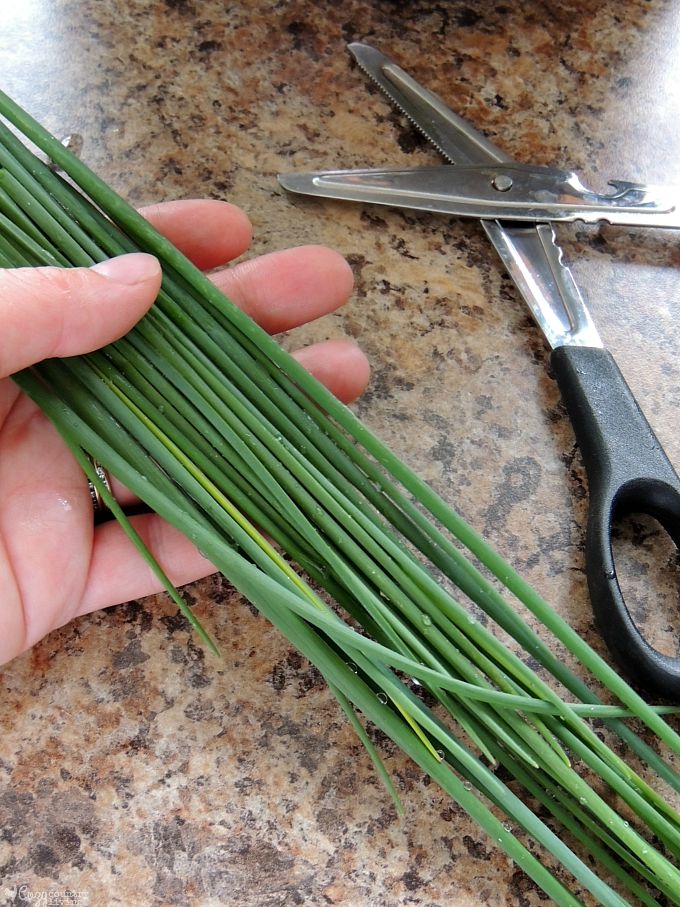 Rustic Sour Cream & Chive Mashed Potatoes - Cozy Country Living