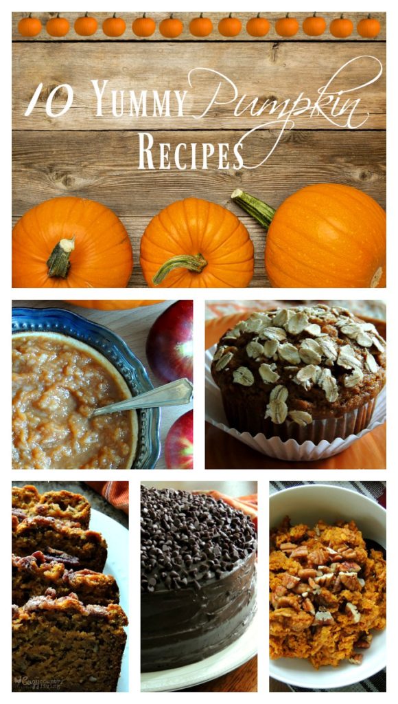 10 Yummy Pumpkin Recipes for Fall - Cozy Country Living